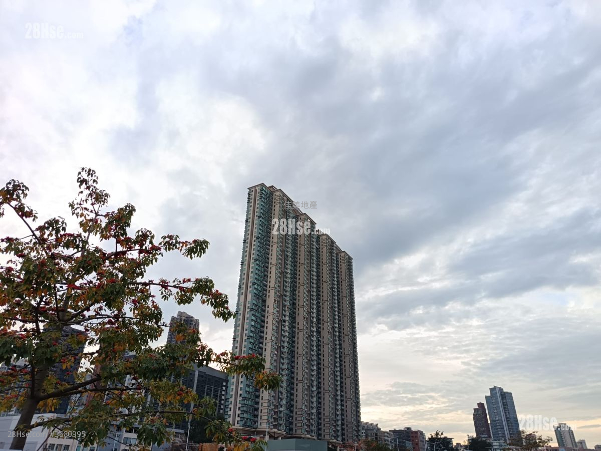 Sky Tower #3680995 Rental Property Detail Page | 28Hse